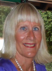 Stoke High School - Ormiston Academy - Governance